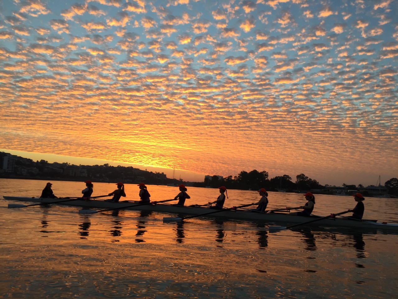 TASS Sports Fixtures & Results